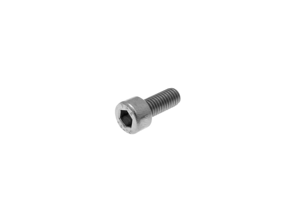 Inbusbout M5x10mm RVS - EZrider.nl
